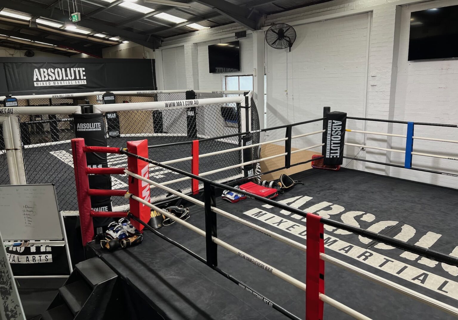 Absolute MMA Review — Training with the Pros
