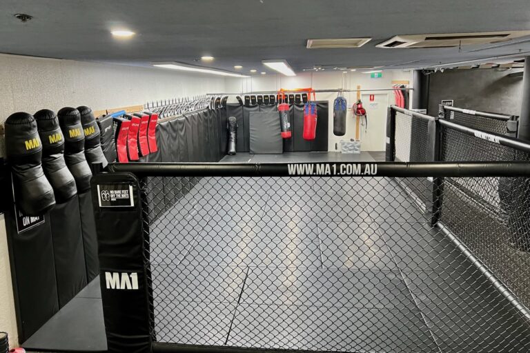 Absolute MMA Review — Training with the Pros