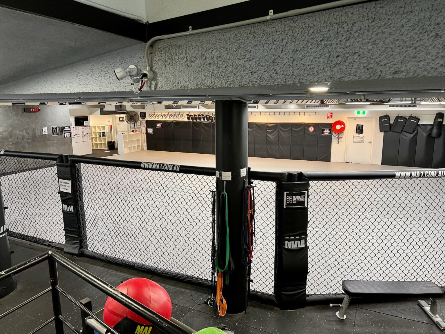 Absolute MMA Review — Training with the Pros