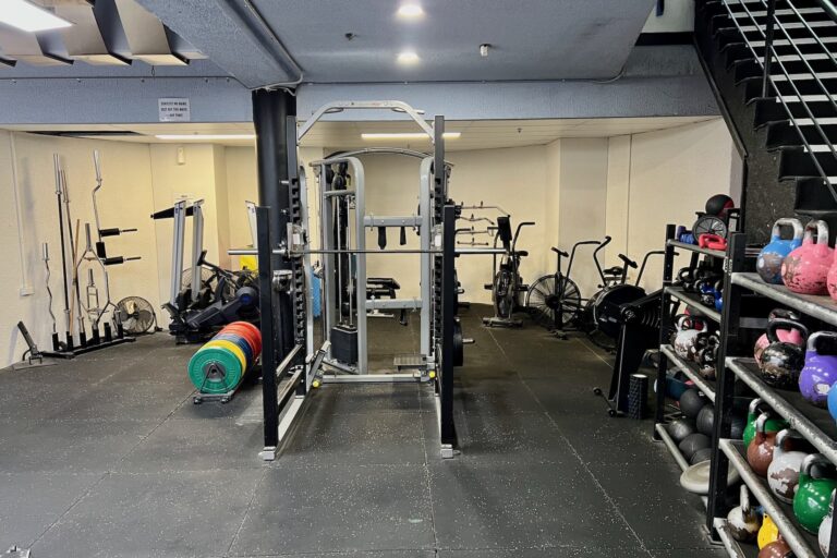 Absolute MMA Review — Training with the Pros