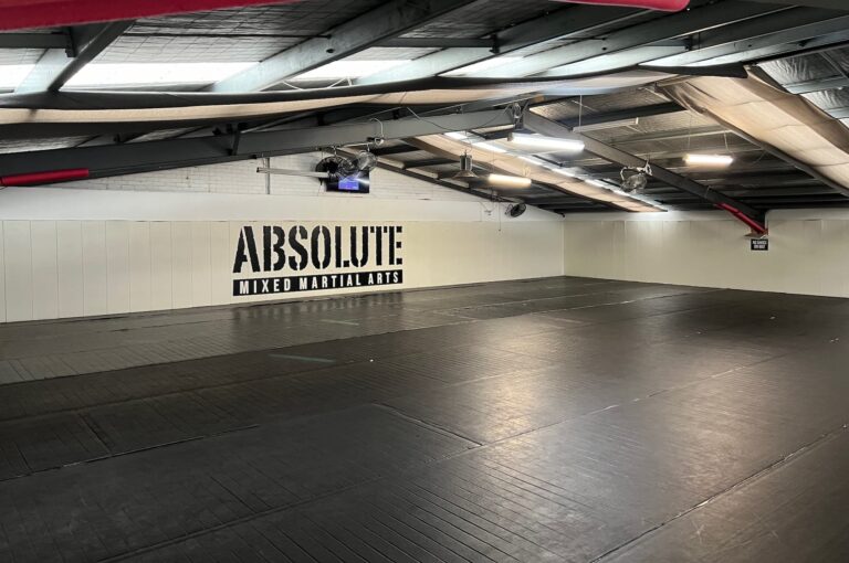 Absolute MMA Review — Training with the Pros