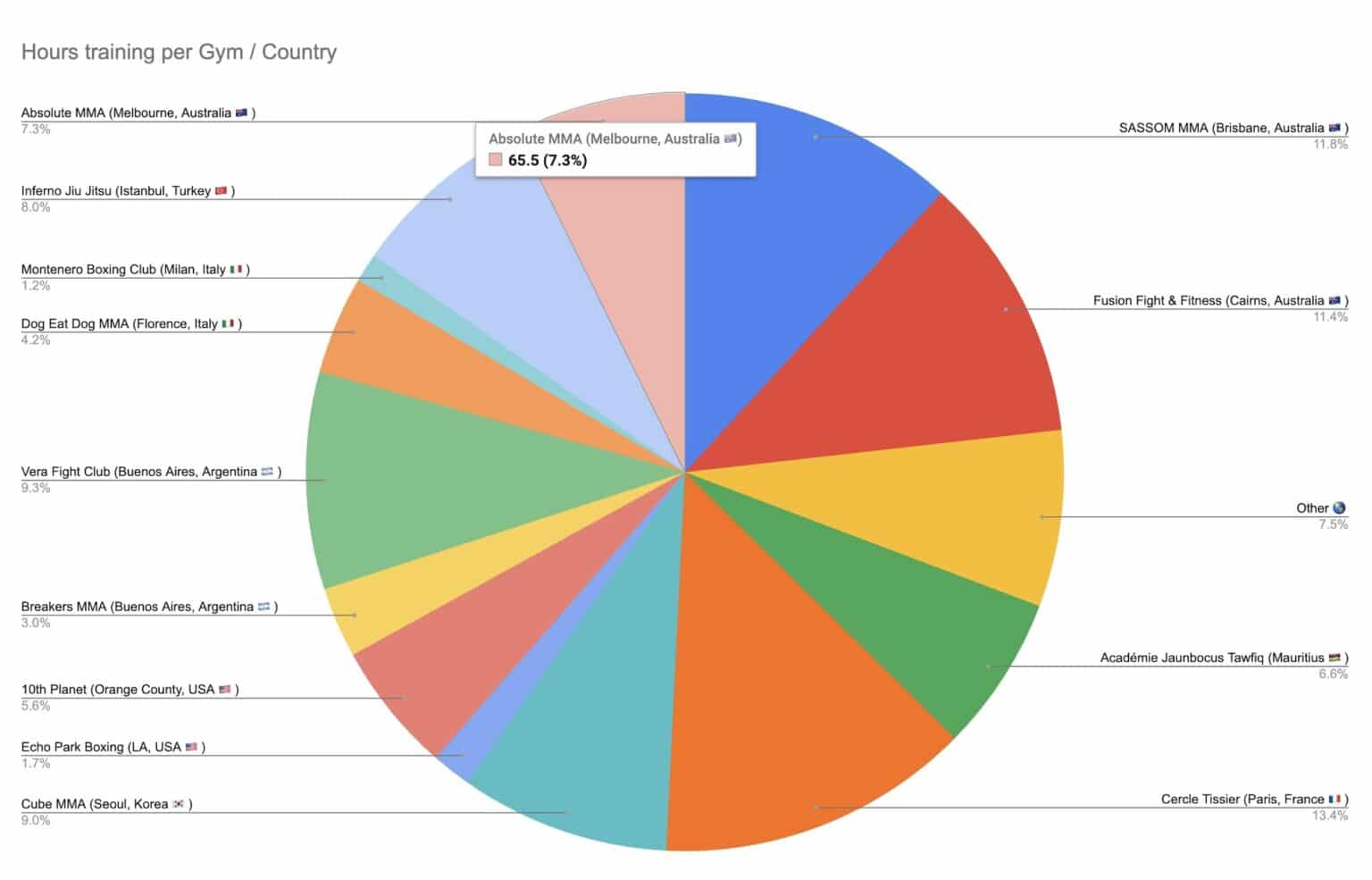 Absolute MMA Review — Training with the Pros